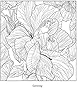 Amazon.com: Enchanted Garden: Enchanted Garden: Coloring Book ...