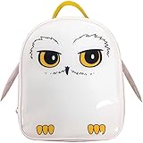 Amazon.com: Harry Potter Hedwig Hogwarts Acceptance Letter Delivery ...