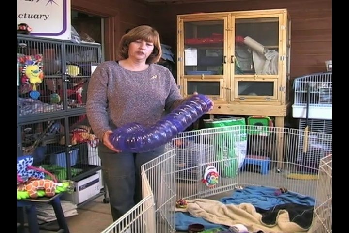 Watch Setting Up Tubes for Your Pet Ferret Play Pen on Amazon Live