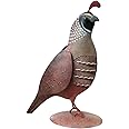Amazon.com: Regal Art & Gift Female Quail Decor : Home & Kitchen