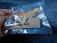 Amazon.com: Schleich 14853 Puma Wild Life Toy Figure : Toys & Games