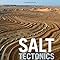 Salt Tectonics: Principles and Practice: Amazon.de: Martin P. A ...