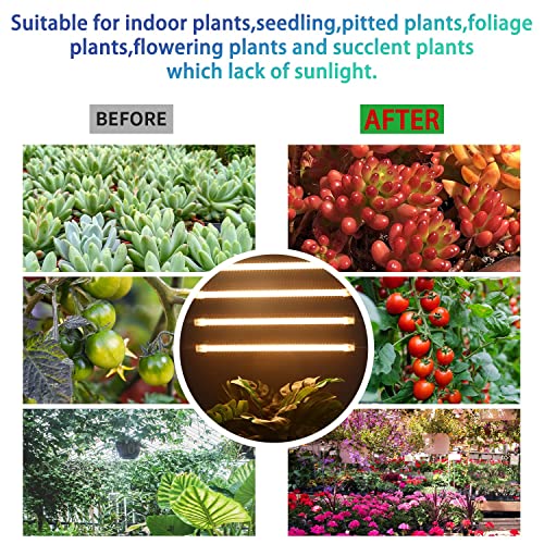 RWNTAO Grow Light Four Heads, Strip Growing lamp, 3000K Full Spectrum ...