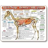 Industrial & Scientific Laminated Avian Design-The Birds Body Systems ...