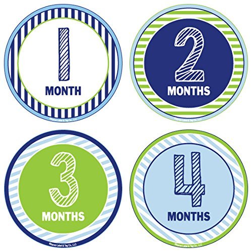 24 Pack Baby Month Stickers and Milestone Stickers by Kenco® - Track ...