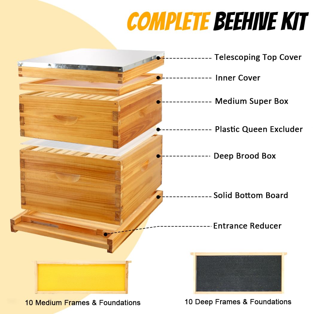 Mua Honey Lake 10-Frame Beehive Starter Kit – Complete Langstroth Hive ...
