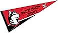 Amazon.com : College Flags & Banners Co. Northeastern University ...