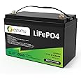Amazon.com: asturnu 12V 100Ah LiFePO4 Lithium Battery, Group 31, Built-in 100A BMS, Grade A ...