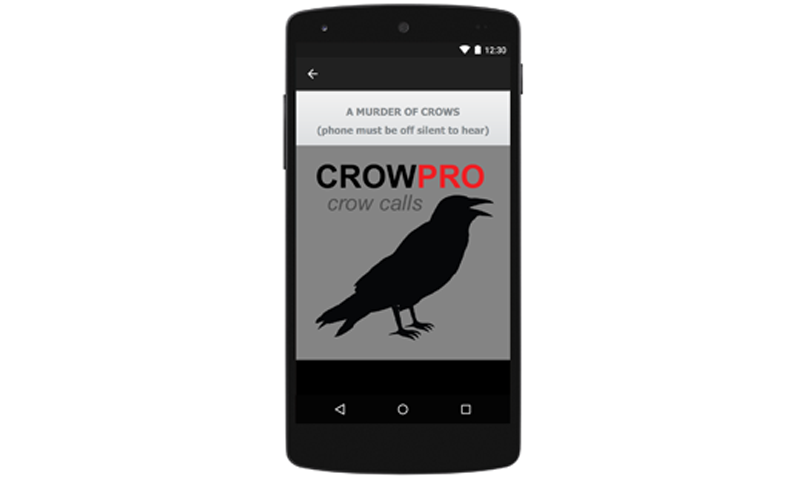 Crow Calls & Crow Sounds App for Crow Hunting - BLUETOOTH COMPATIBLE:Amazon.it:Appstore for Android