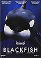 Blackfish [DVD]: Amazon.es: Gabriela Cowperthwaite, Judy Bart, Erika ...
