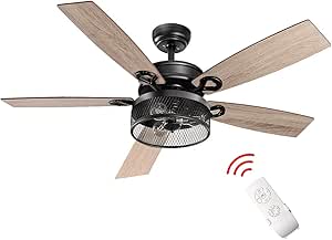 Amazon.com: ARLIME 48 Inch Ceiling Fan with Lights and Remote Control ...