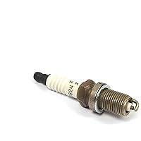 Amazon.com: Champion Spark Plug for Briggs & Stratton 5066, 5066B ...