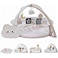 Amazon.com : Aila+Aiden 6-in-1 XL Play Mat & Play Gym, Baby Gym, Baby Activity Gym, Sensory ...