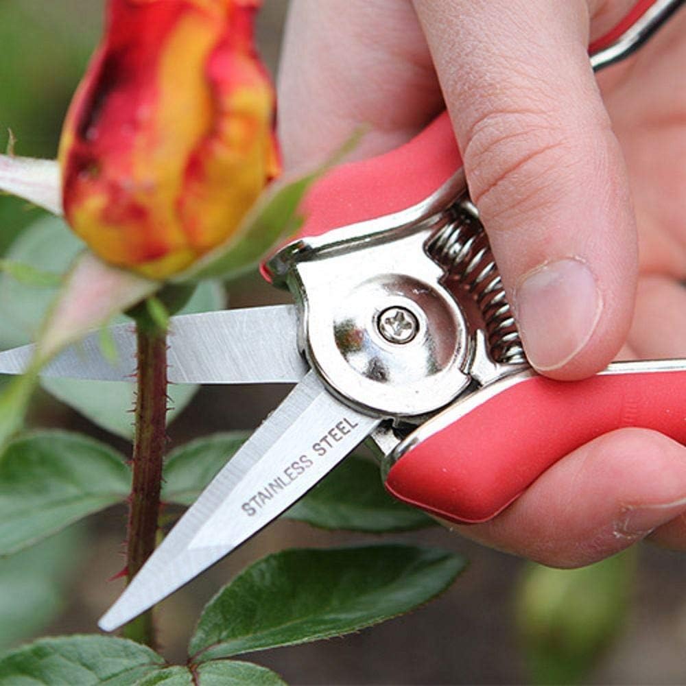 Darlac Mini Snips, Ideal for Deadheading Light Pruning, Floristry ...