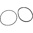 Amazon.com: Zodiac R0446200 Lid Seal and Lid O-Ring Replacement for ...