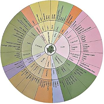 Amazon.com: Table Wine Aroma Wheel: Kitchen & Dining