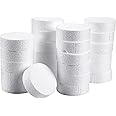 Amazon.com: Foam Circles for Crafts, Round Polystyrene Disc for DIY ...