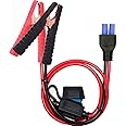 Amazon.com: YETOR 10AWG Battery Alligator Clips,EC5 Jump Starter Cable with Battery Clamps ...