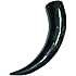 Amazon.com: Large American Bison Buffalo Horns