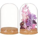 Amazon.com: BENECREAT 10Pcs Dome Decorative Jars, 1.8x3.5inch Glass ...