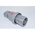 APPLETON ACP6034BC 60 Plug Assy - Amazon.com