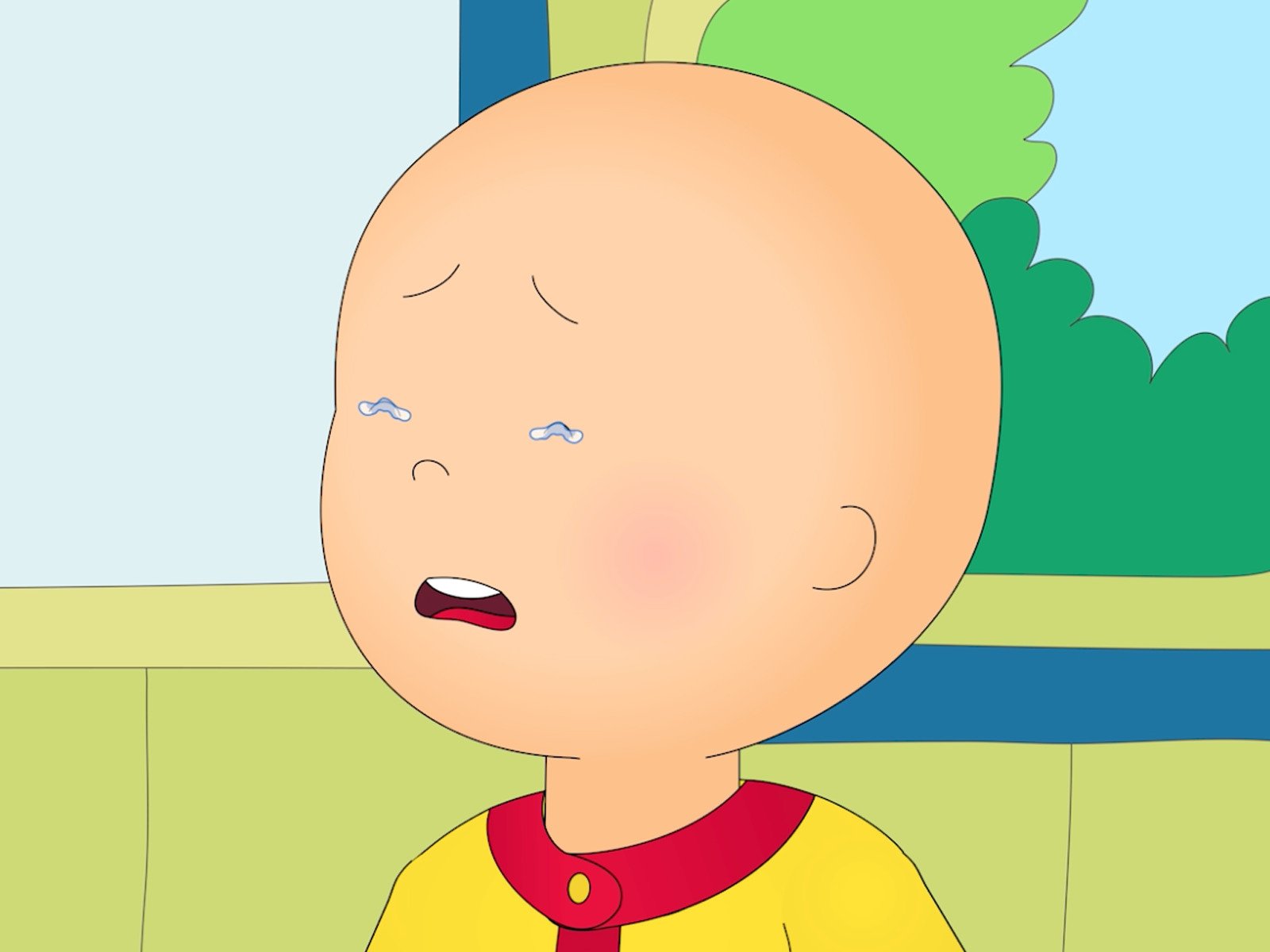 Watch Caillou's New Adventures | Prime Video