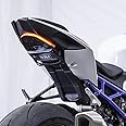 Amazon.com: S1000RR Fender Eliminator Kit (2020-2022) EU MODEL - New ...