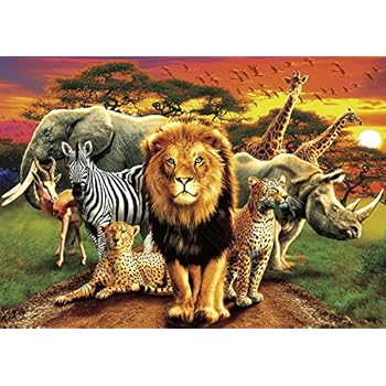 Amazon.com: Bits and Pieces - 1000 Piece Jigsaw Puzzle - Pride of ...