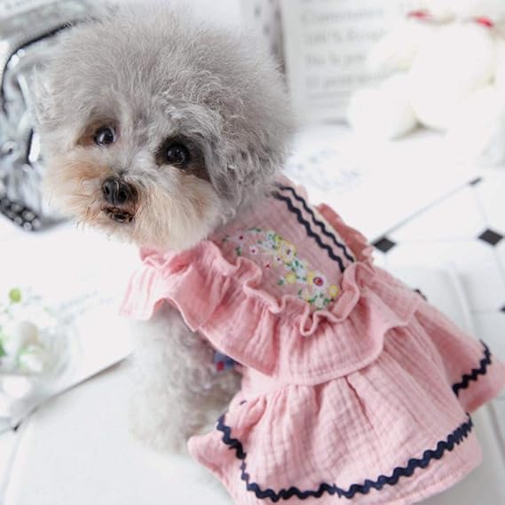 Zsefv Bichon Pomeranian Perro pequeño Teddy Ropa para Perros Primavera ...