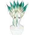 Amazon.com : Anime Game Cosplay Wig Dr. Stone Ishigami Senku Wig Green ...