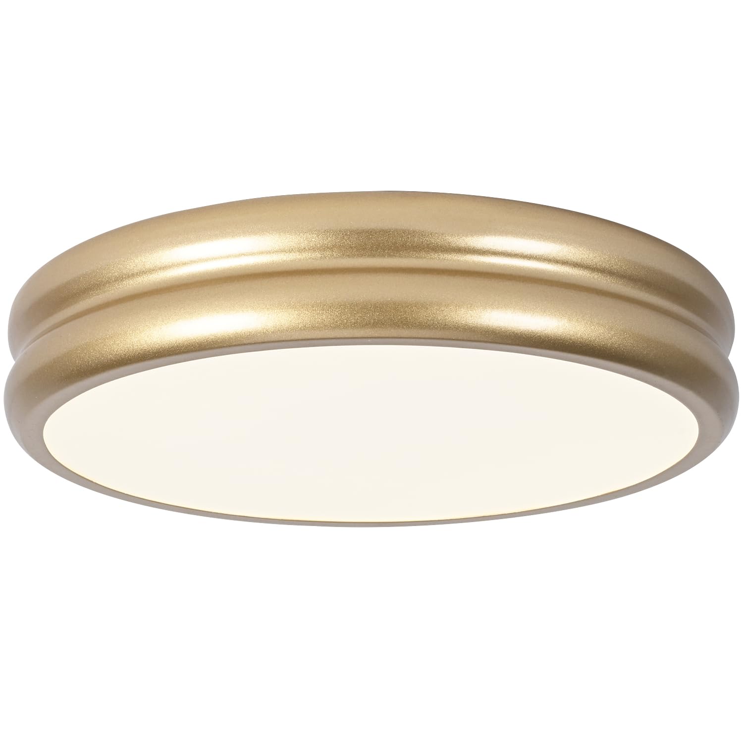 Suenigle Modern Flush Mount Ceiling Light,Close to Ceiling Lights,11.8 ...