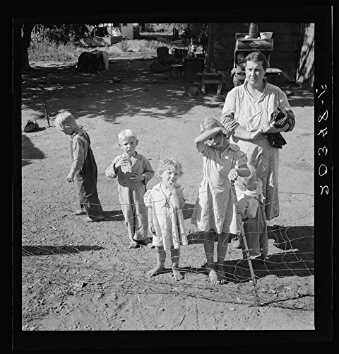 Buy New sign, erected seven years after Howard Scott talked of a survey ...