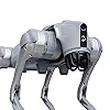 Unitree Go2 Robot Dog Quadruped Robotics for Adults Embodied AI (Go2 ...