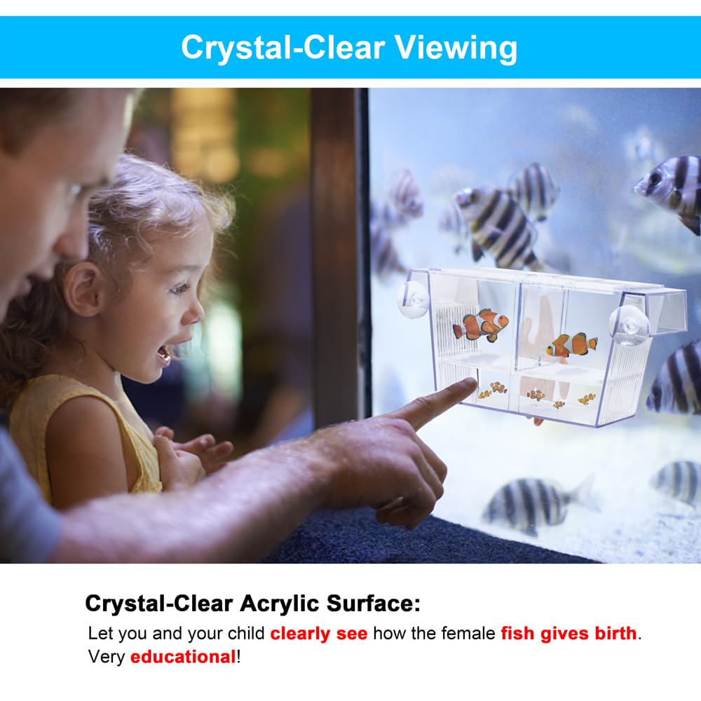 Mua Fish Breeding Box Aquarium Holding Tank Transparent Fish Isolation ...