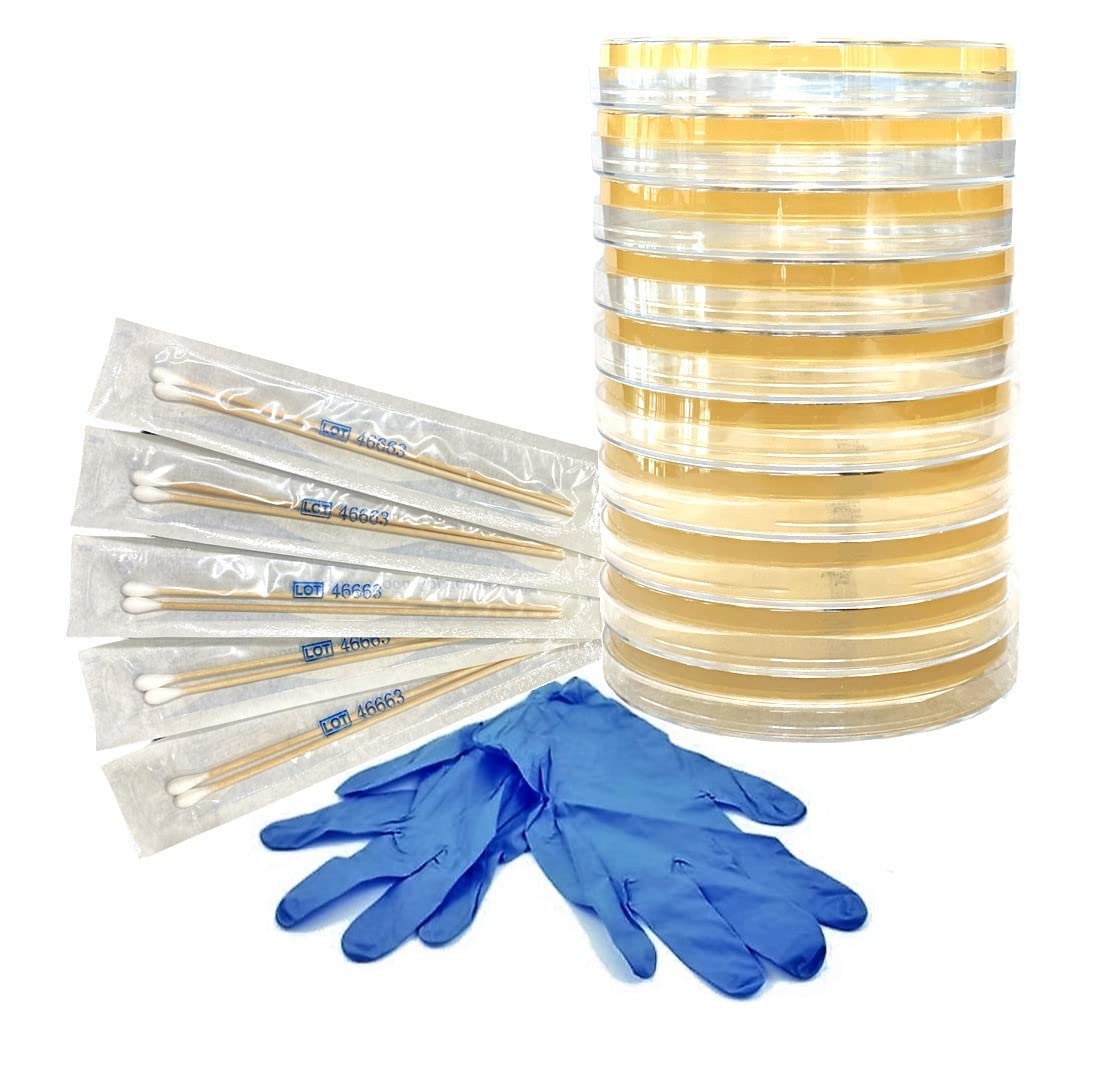 Mua Essential 2.0 Bacteria Growing Science Kit. Pre-Poured Agar Plates ...