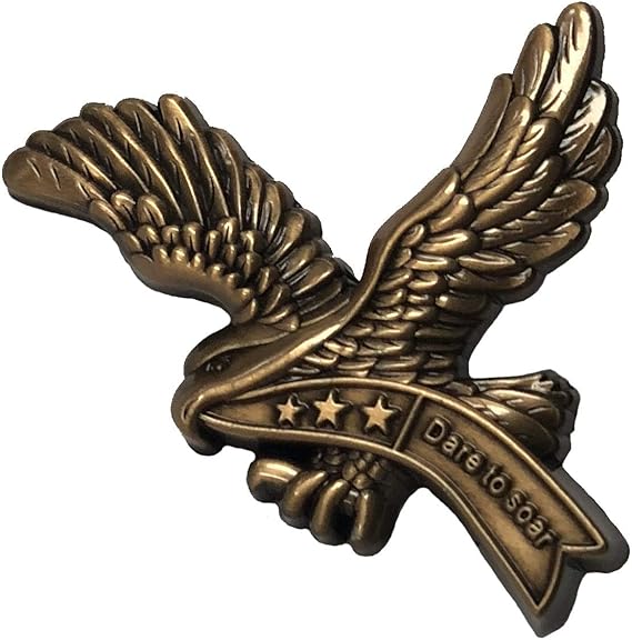 Amazon.com: Eagle Lapel Pin for Eagle Scout Gift or Eagle Scout Present ...