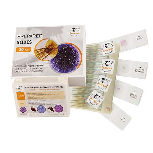 30 Prepared Microscope Slides with Specimens for Kids Students ...
