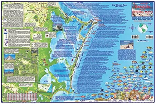 Cancun & Riviera Maya Mexico Adventure & Dive Map Laminated Poster by Franko Maps in Saudi ...