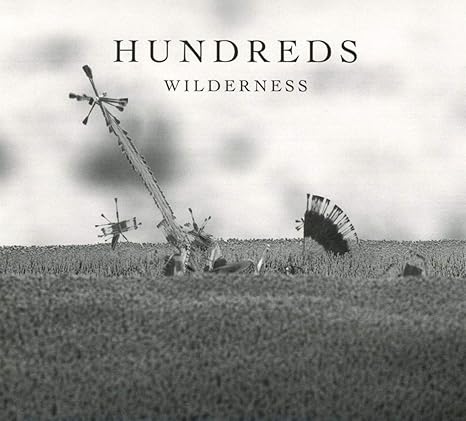 Wilderness/Édition CD Deluxe: Hundreds: Amazon.fr: Musique