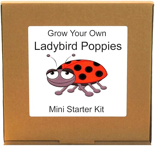 Grow Your Own Ladybird Poppies Plant Kit – Unusual, Unique and Quirky ...