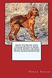 The Irish Red Setter: It's History, Character and Training: Raymond O ...