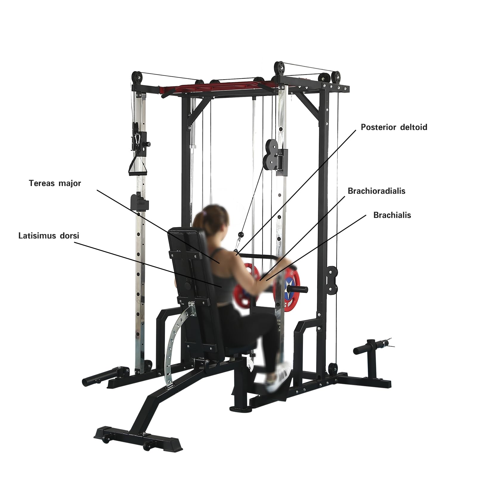 Mua HAUSHECK, 1400lbs Power Cage with LAT Pulldown, Weight Storage ...