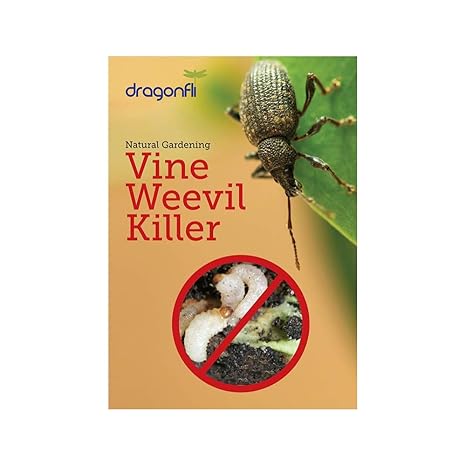 vine weevil killer nematodes Dragonfli 20 Square Meter Pack: Amazon.co ...