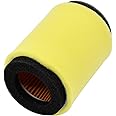 Amazon.com: Celliparts 11013-1263 Air Filter 110131263 Compatible with ...