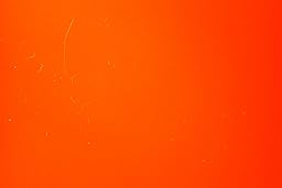 Jumbl 22MP All-In-1 Film & Slide Scanner w: Amazon.co.uk: Electronics