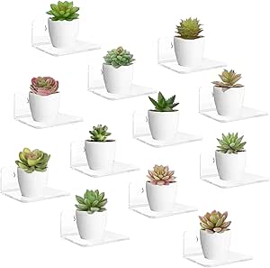 Amazon.com: 12 Pack Small Acrylic Floating Wall Shelves with Adhesive ...