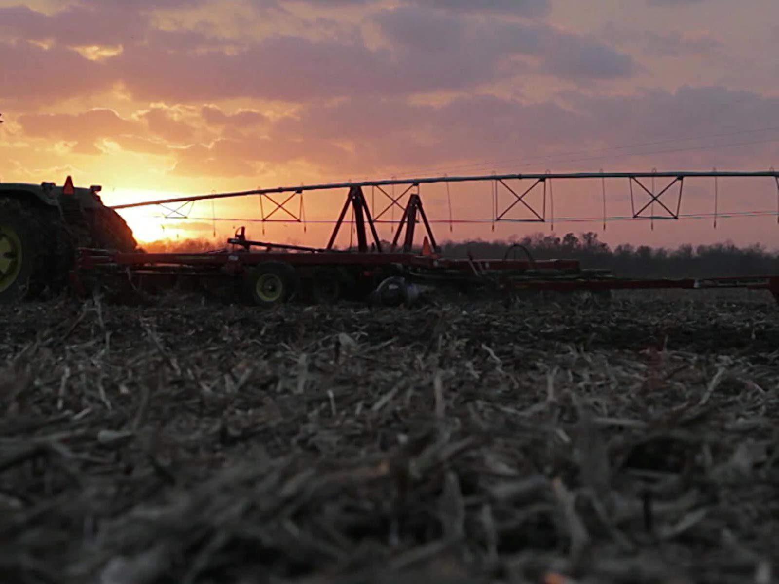 Watch Red Arrow - Season 5 | Prime Video