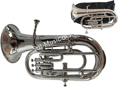 Amazon.com: Sai Musical India Bb low pitch brass musical instrument 4 ...