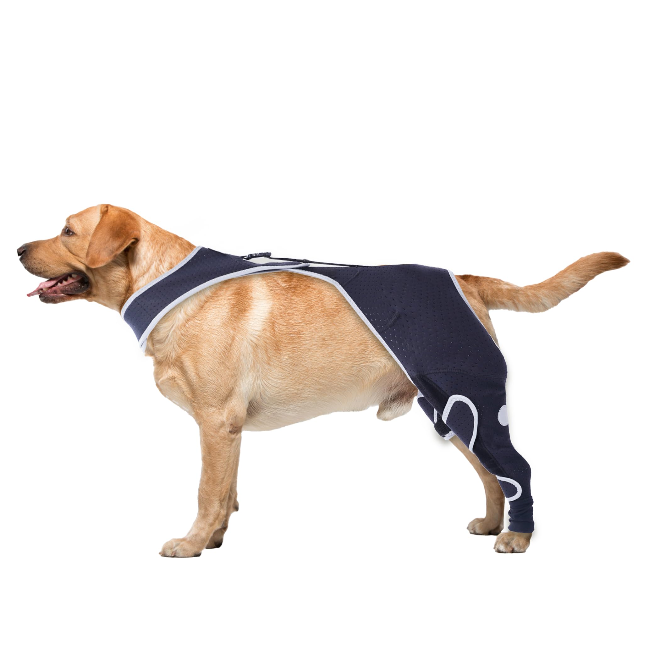 Furtent Dog Leg Sleeve to Stop Licking Left Leg, Washable Reflective ...