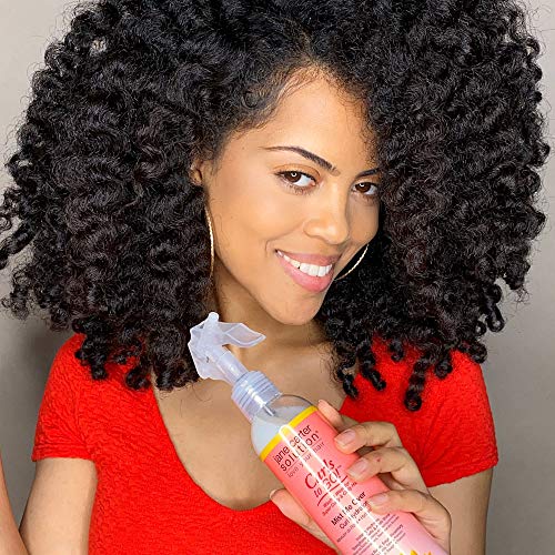 Jane Carter Solution Curls To Go! Mist Me Over, 8 oz - Black Hair ...